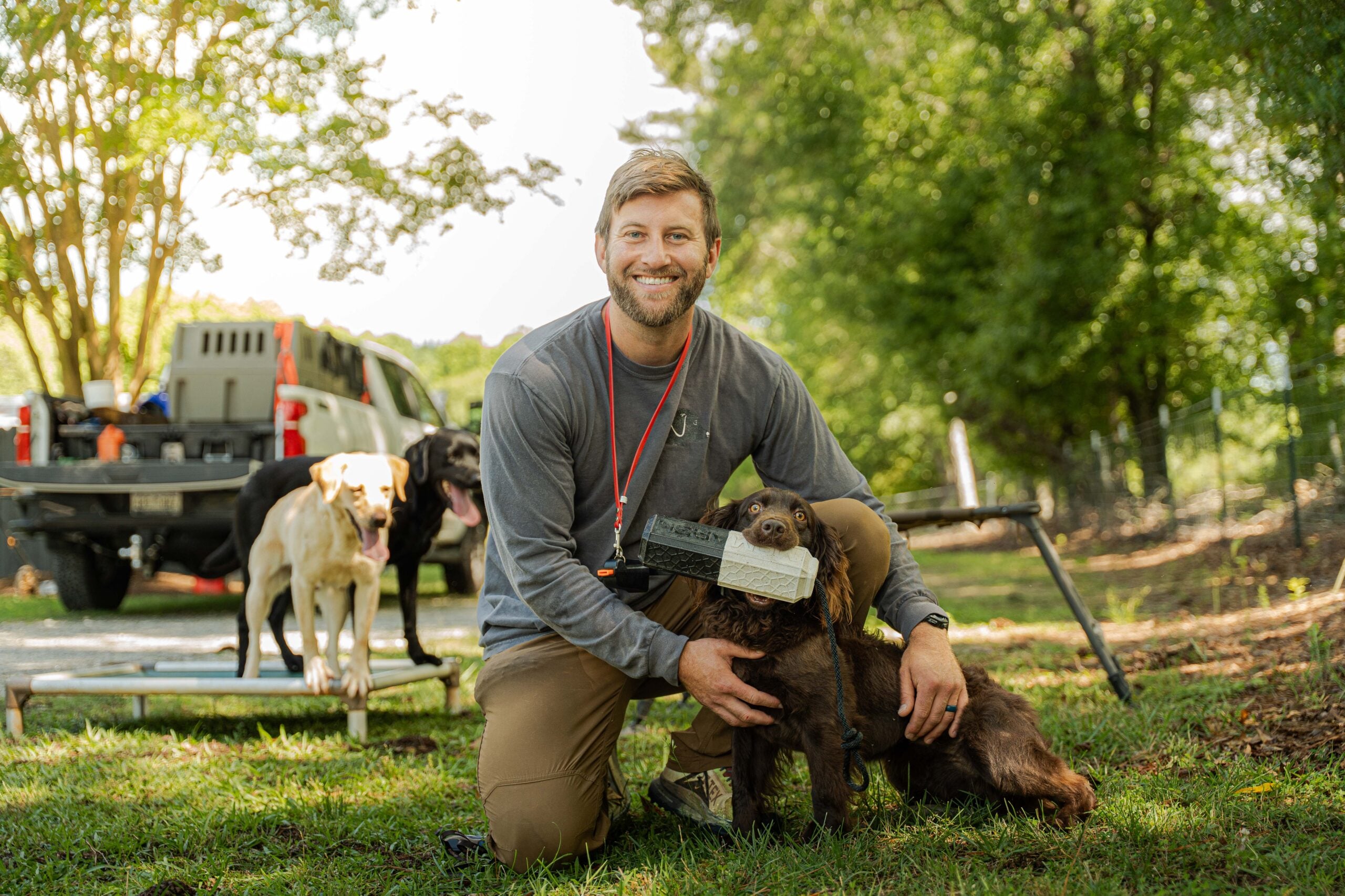 Ruby Ridge Retrievers | Piedmont SC Dog Grooming & Boarding